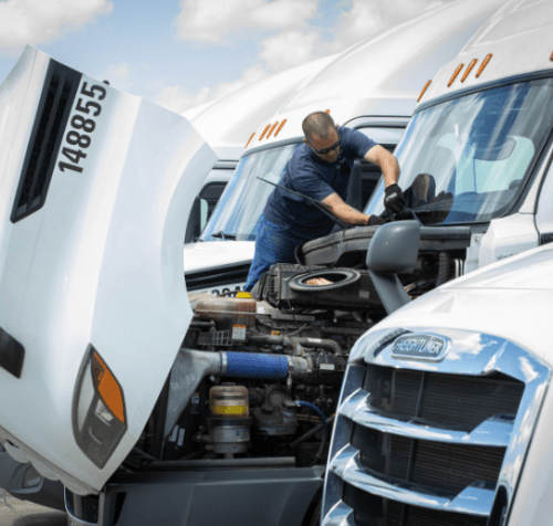 Quality & Maintenance